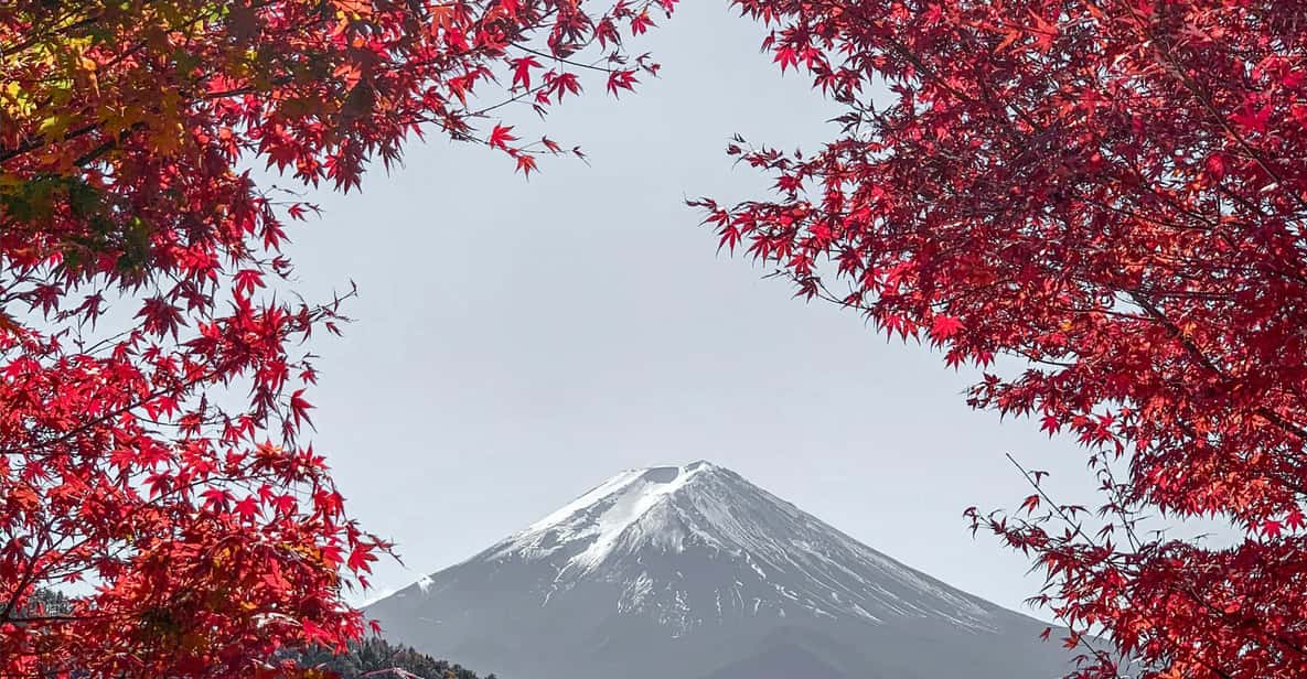 Mount Fuji, Lake Kawaguchiko Private Tour mit dem Auto mit Pick Up ...