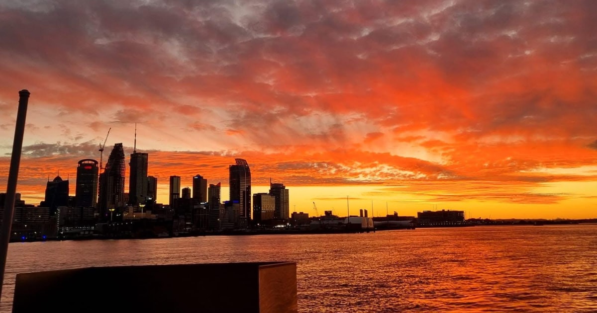 Auckland : croisière nocturne avec canapés et boissons | GetYourGuide