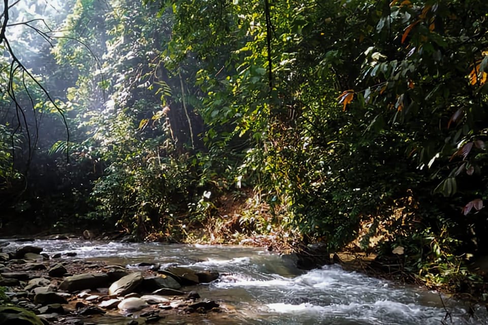 Medan: In the Jungle of Mount Leuser National Park day trip | GetYourGuide