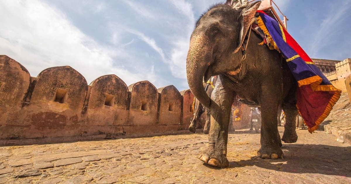 Au départ de Delhi : circuit de 4 jours dans le Triangle d'or Delhi ...