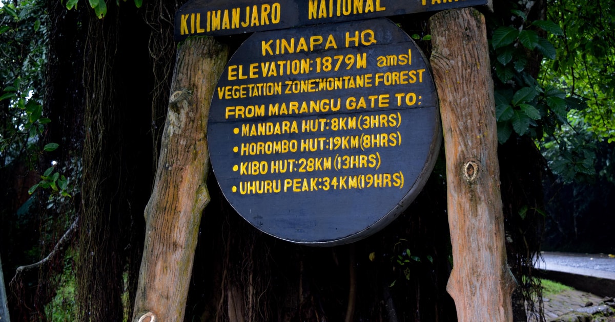 Kilimanjaro: Excursión de un día a las Cabañas de Mandara | GetYourGuide