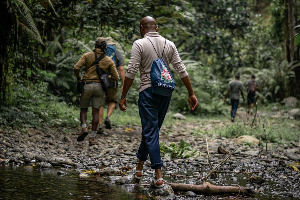 Arusha: Meru Forest Reserve waterfall hiking and camping | GetYourGuide
