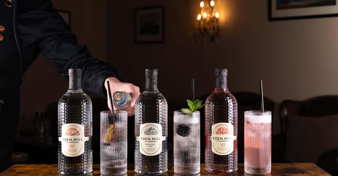 Gin Tasting Experience with a Perfect Serve | GetYourGuide
