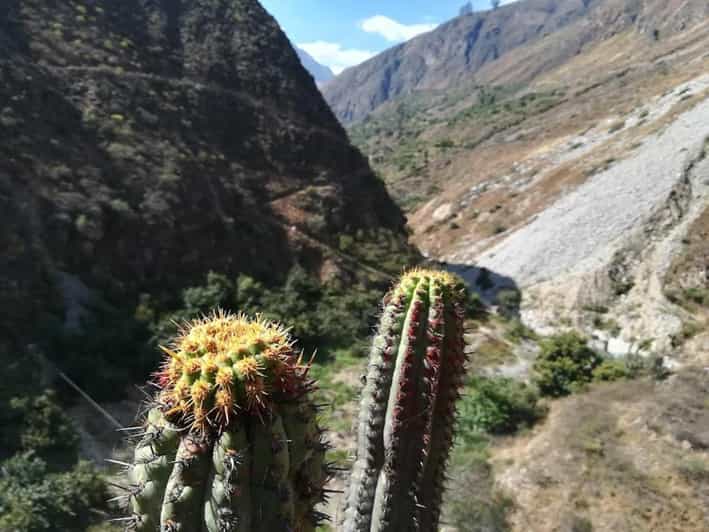 Lima: Autisha Canyon + Rappel + Bungee jumping + Underground waterfall ...