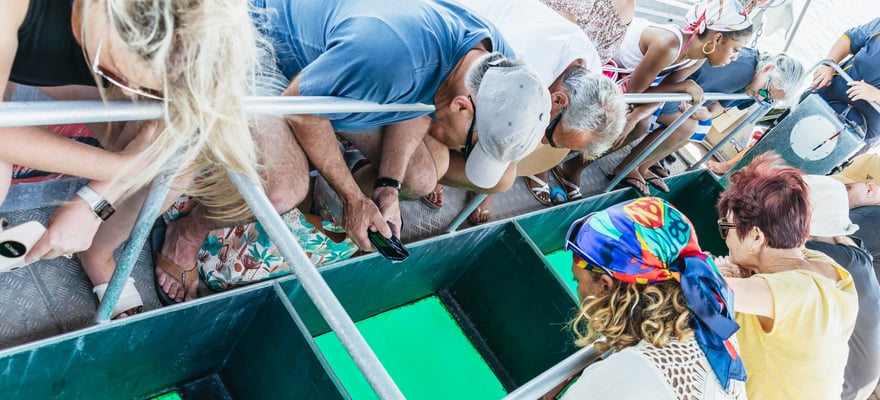 The BEST Fitzroy Island Cruises & boat tours 2024 - FREE Cancellation ...