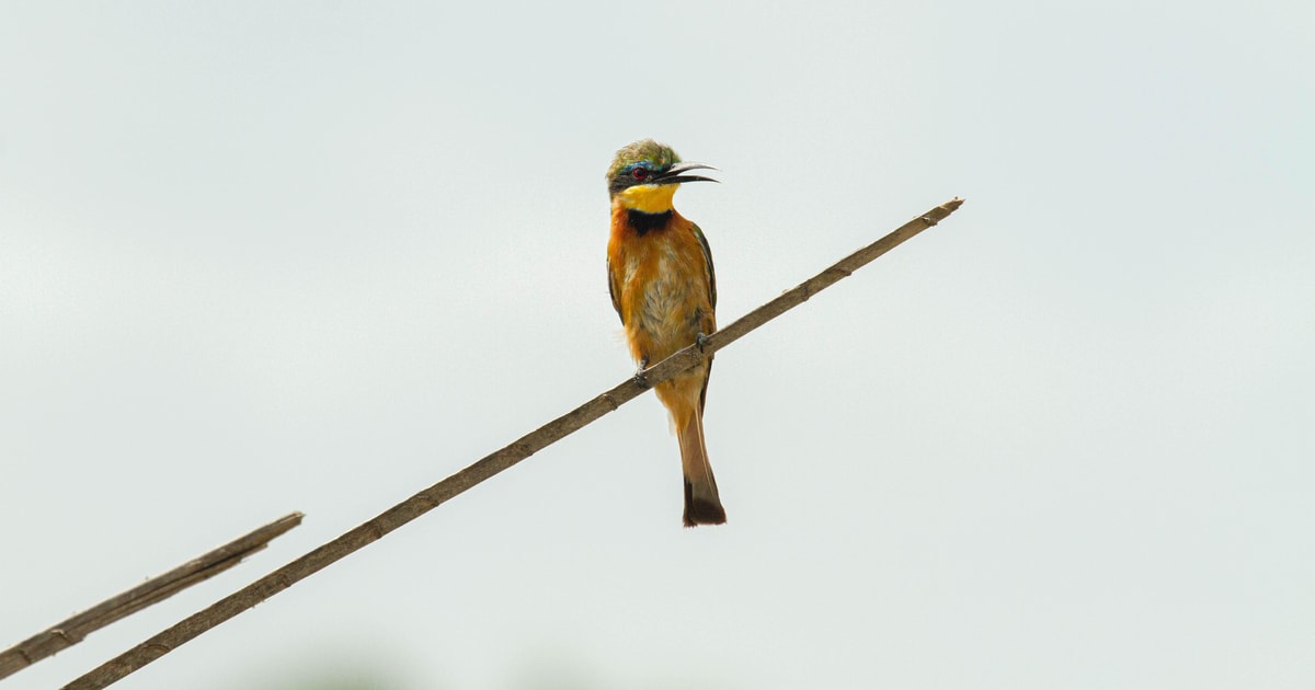 13-Day Spirit of Kenya and Tanzania Relaxed 360 Circuit | GetYourGuide