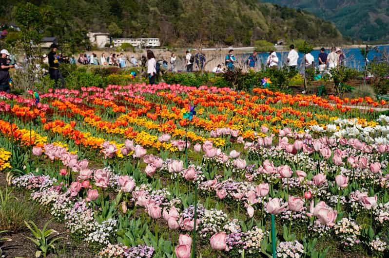 Tokyo: Mount Fuji Views & KABA Amphibious Bus Day Tour (OPT) | GetYourGuide