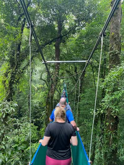 Guanacaste: Rainforest, Sloths, & Nature Day Trip with Lunch | GetYourGuide