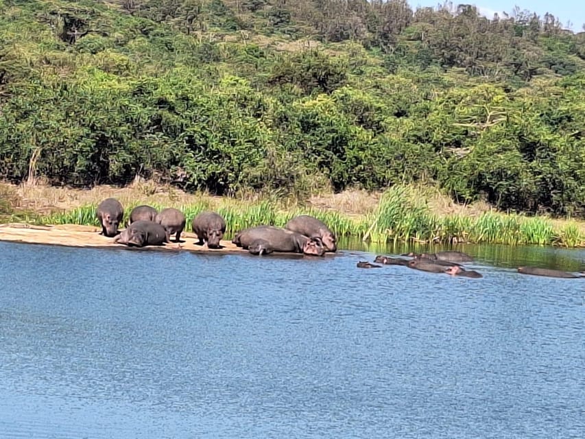 From Nairobi:Blixen Museum, Kobe Beads and Giraffe Day Tour | GetYourGuide