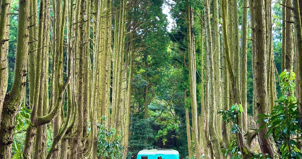 Jeju East: Samdalri Drama Location Private Tour | GetYourGuide