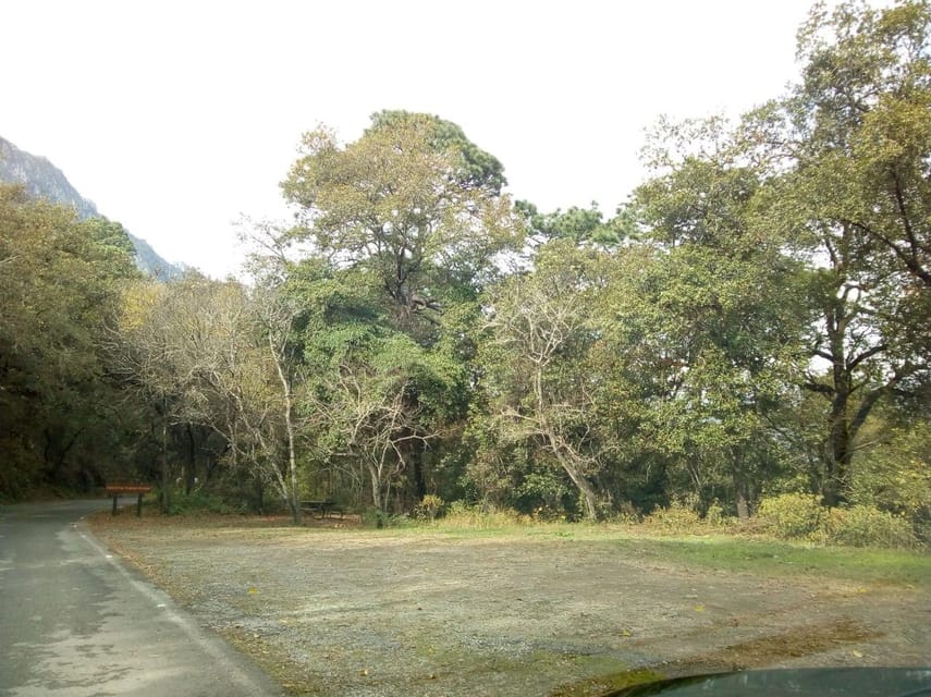 Monterrey: Chipinque Ecological Park Guided Tour | GetYourGuide