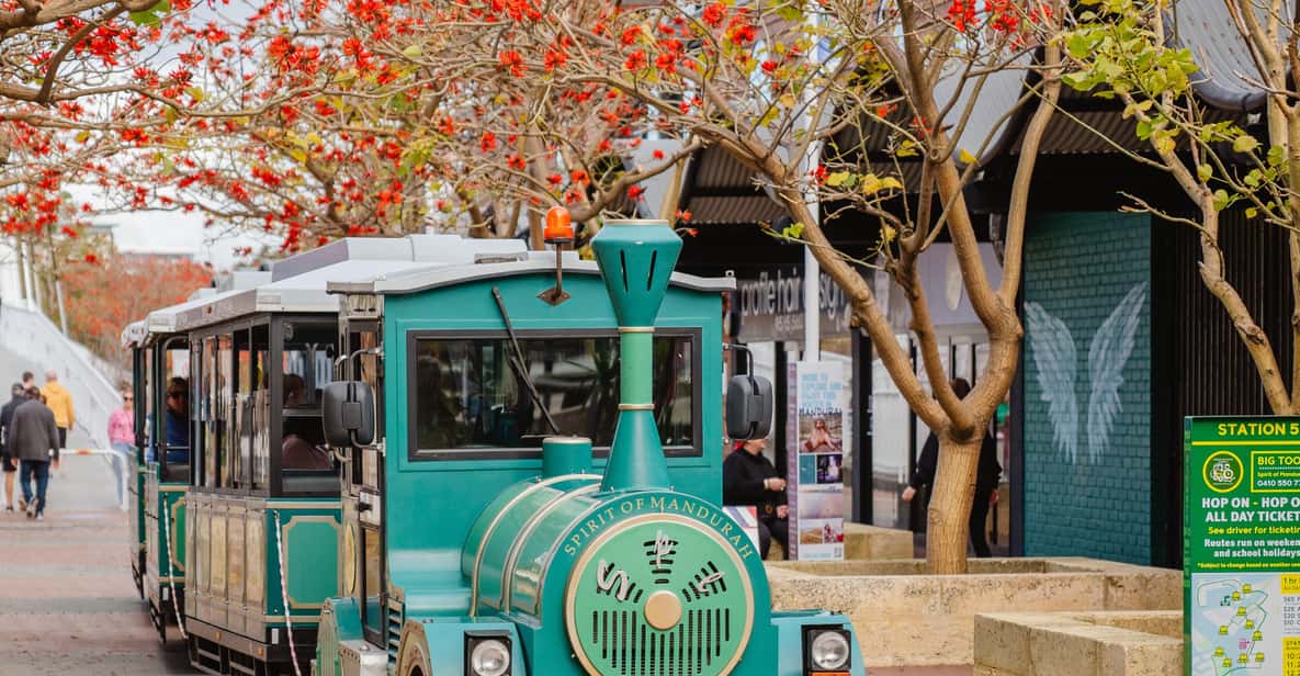 Mandurah: Big Toot 30 mins City Tour | GetYourGuide