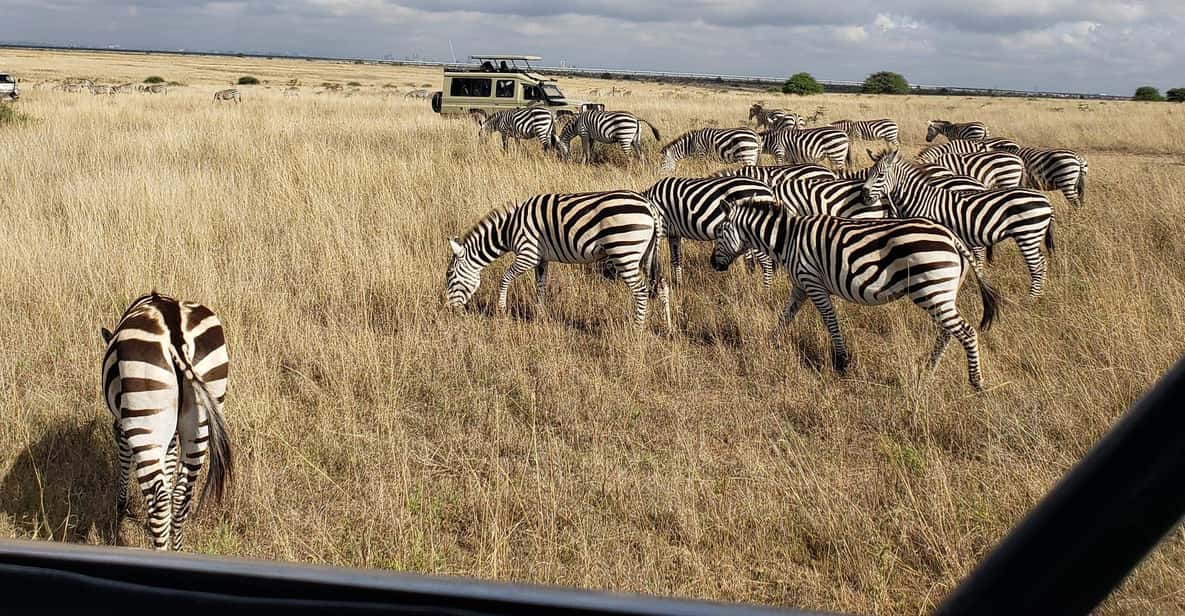 Nairobi City Guided Walking Tour. | GetYourGuide