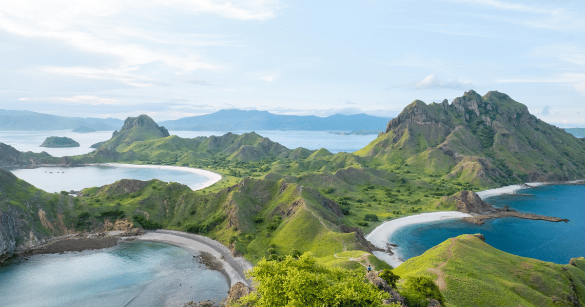 Tur Sehari Penuh di Pulau Komodo di Pulau Labuan Bajo | GetYourGuide