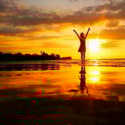 Bongawan Wetland: Proboscis Monkey and Fireflies Shared Tour | GetYourGuide