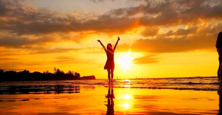 Bongawan Wetland: Proboscis Monkey and Fireflies Shared Tour | GetYourGuide