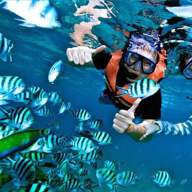 Bali: Blue Lagoon Snorkeling Trip | GetYourGuide