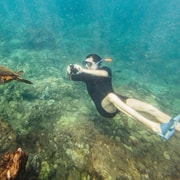 Maui Sur: Excursión de snorkel a Molokini y Turtle Town con comida ...