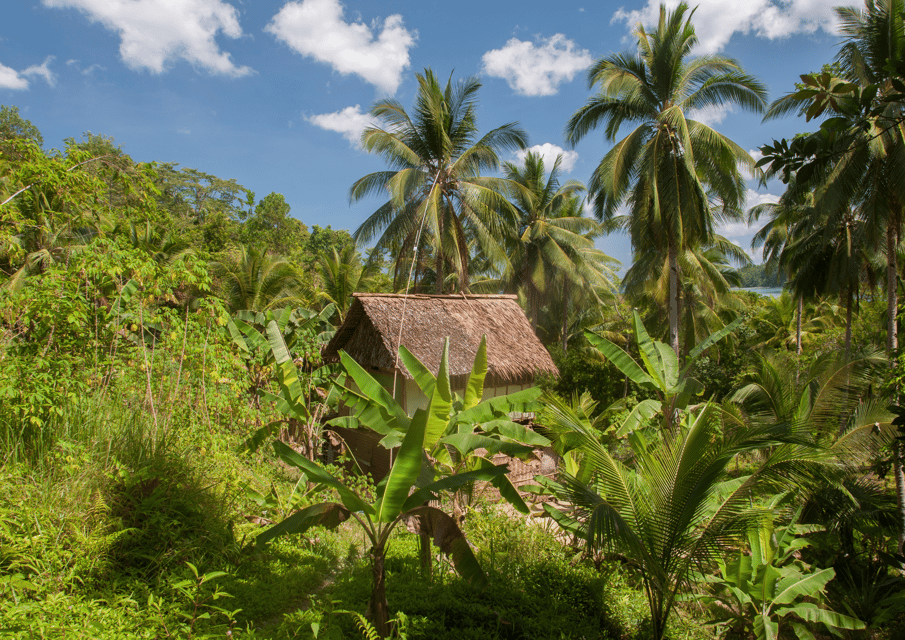 Port Barton Tour E Island Hopping | GetYourGuide