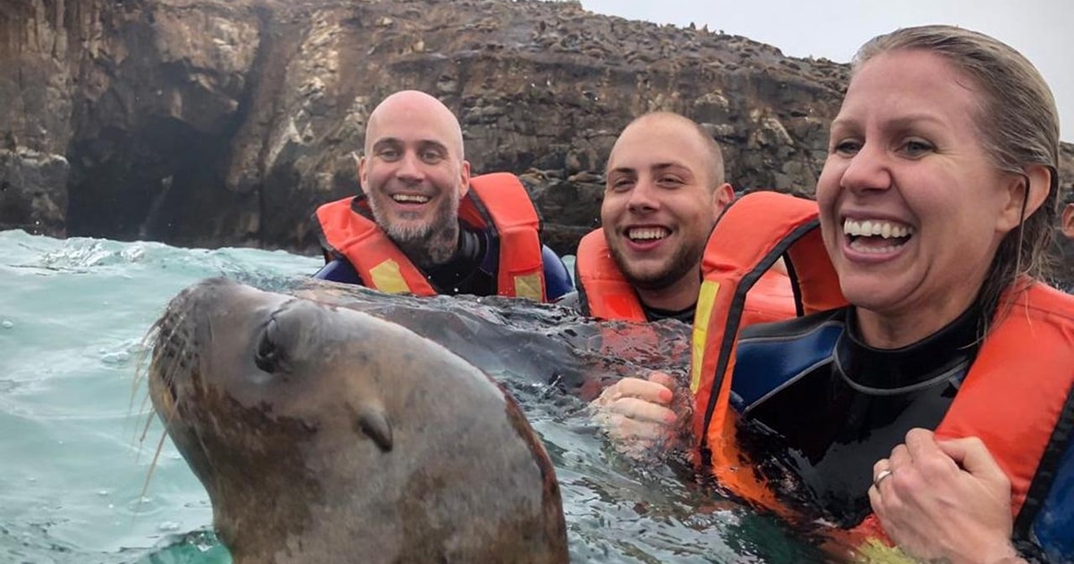 Da Lima: Tour in motoscafo delle Isole Palomino e nuoto con i leoni ...