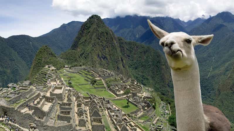 Hike to Llactapata Machu Picchu 3 Days / 2 Nights | GetYourGuide
