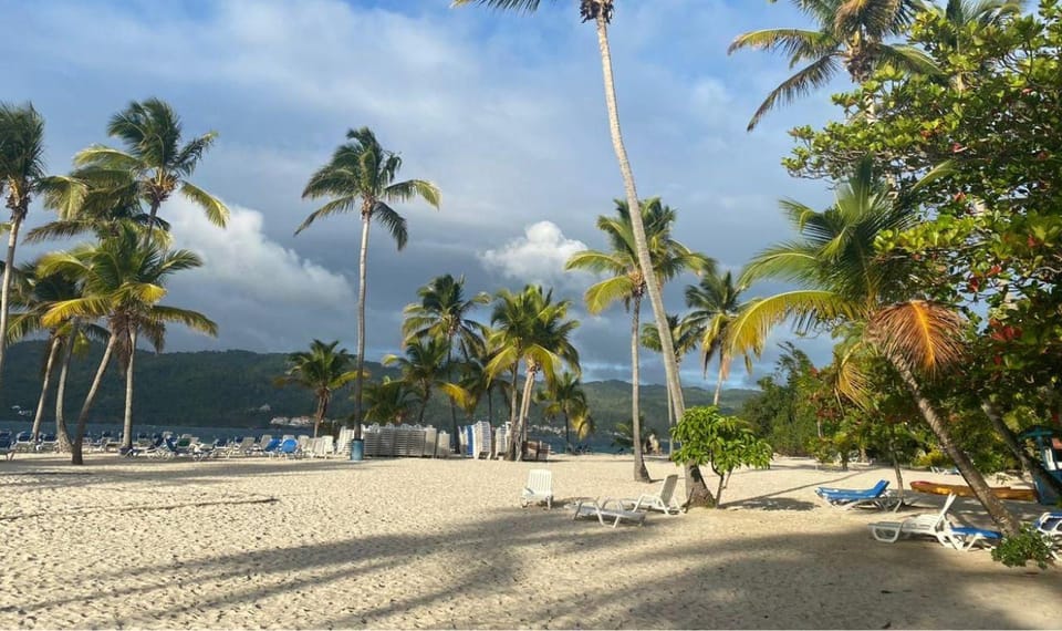 Punta Cana: Samana Cayo Levantado / Bezoek aan de walvis | GetYourGuide