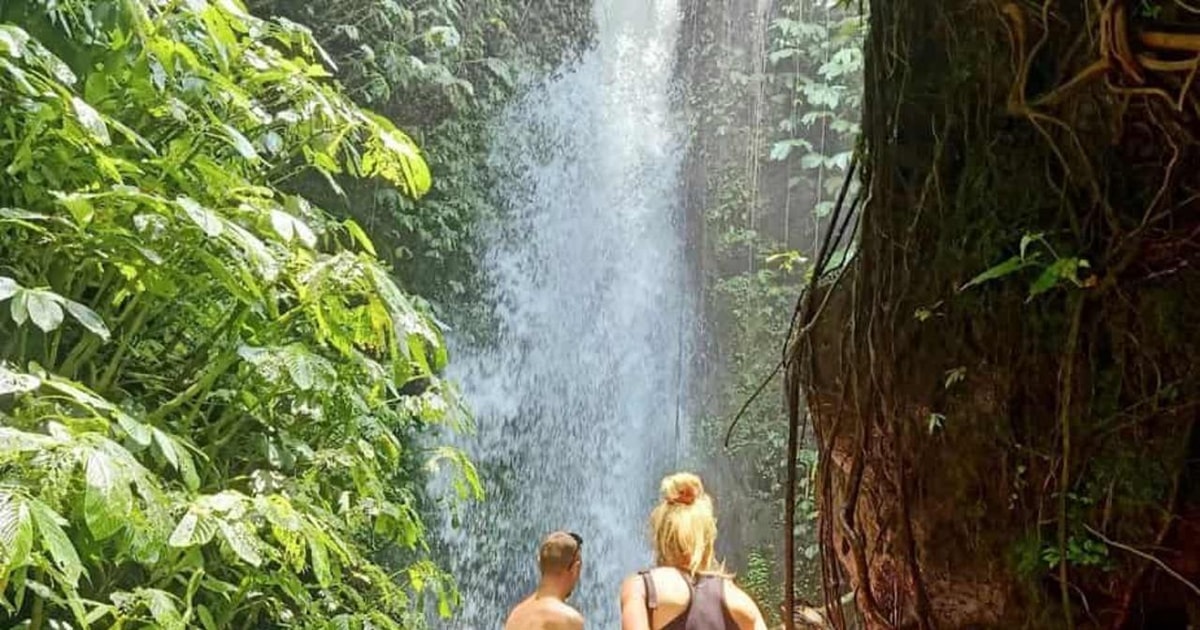 Tetebatu: tour delle risaie, dei villaggi e delle cascate | GetYourGuide
