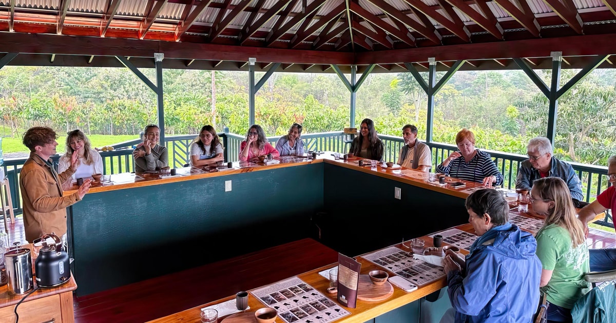 Groot eiland Hawaï: Craft Chocolade Proeverij en Boerderij Tour ...