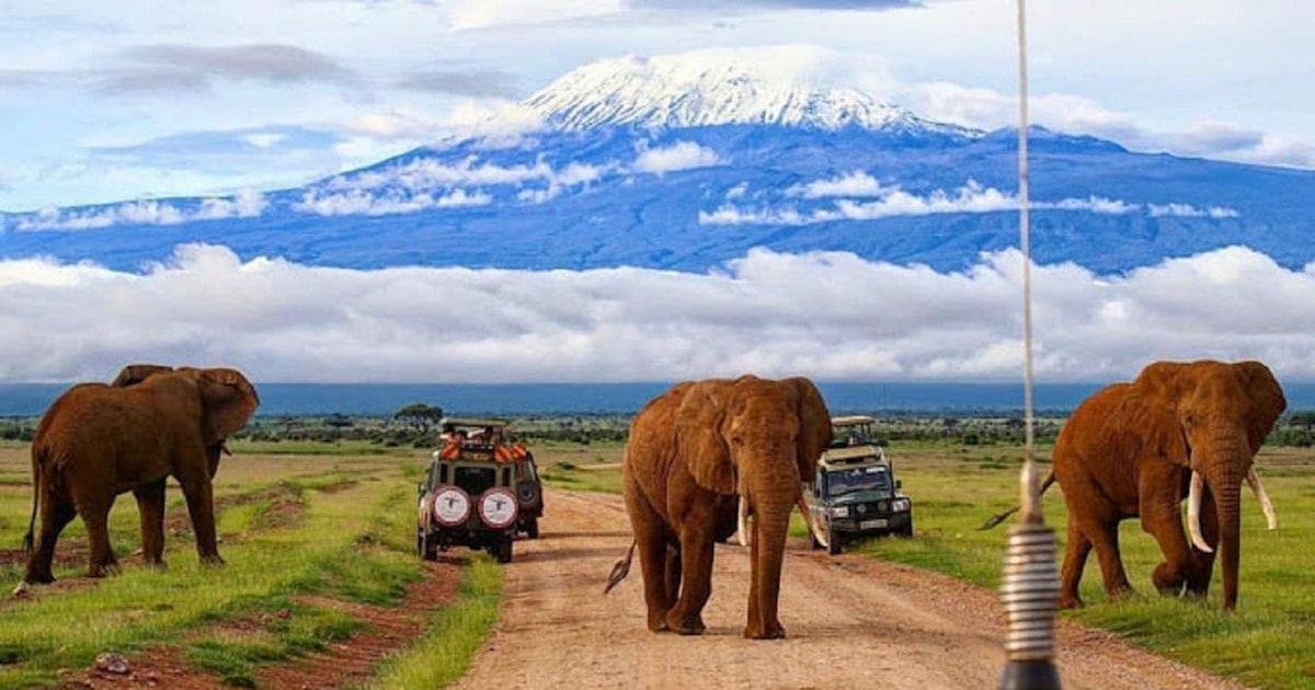 Au départ de Nairobi : excursion d'une journée au parc national d ...