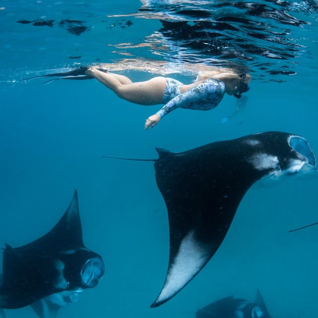 From Nusa Penida: Snorkeling with Manta Rays | GetYourGuide