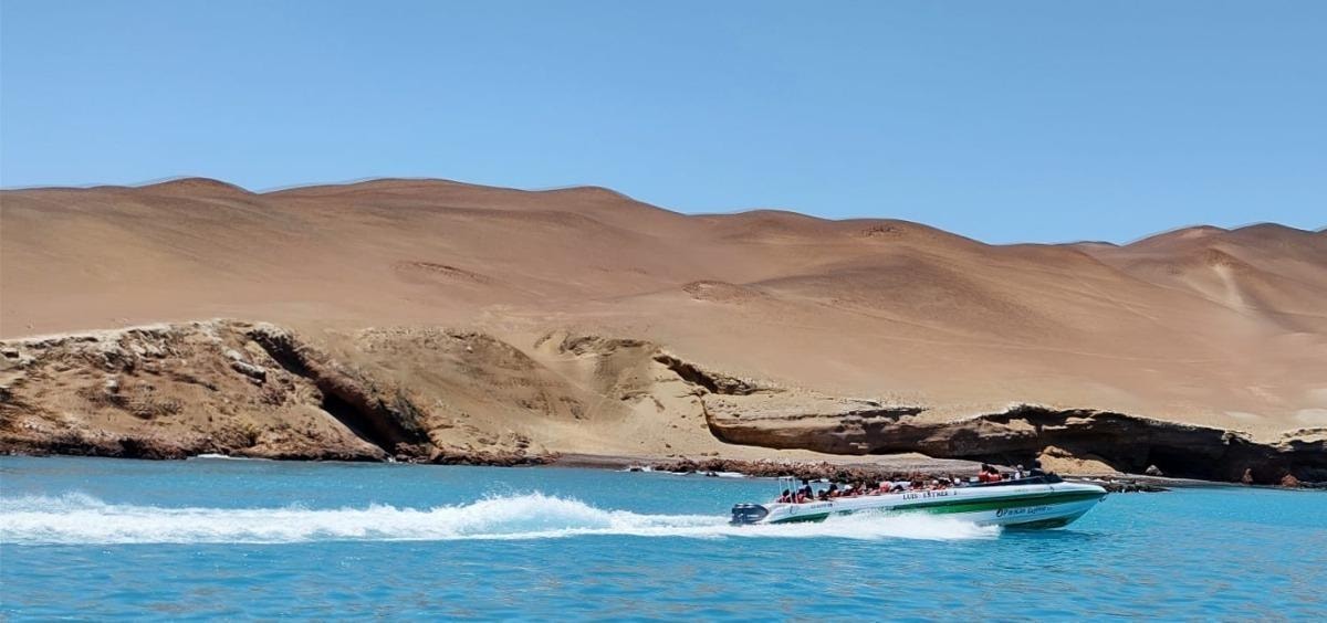 Paracas: speedboat BALLESTAS ISLANDS TOUR | GetYourGuide