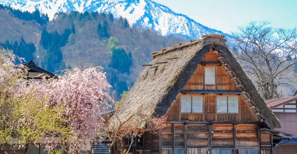 Nagoya: Hida Takayama & World Heritage Shirakawa-go Day Tour | GetYourGuide