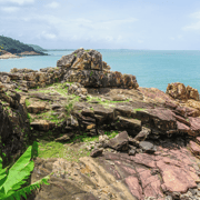 Gokarna Nature Walk (3 Hours Guided Trekking Experience) | GetYourGuide
