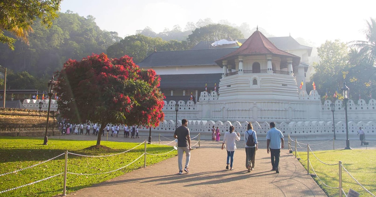 From Colombo: Kandy Temple of the Tooth & Botanical Gardens… | GetYourGuide