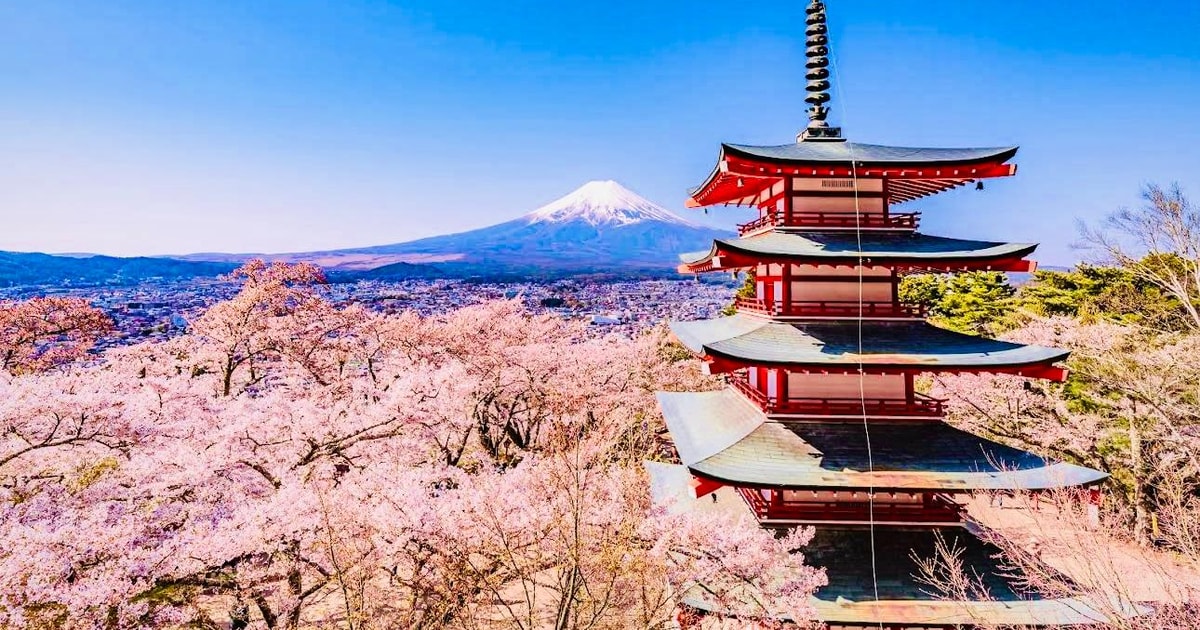 Tokio: Private Tagestour zum Mt.Fuji mit englischsprachigem Fahrer | GetYourGuide