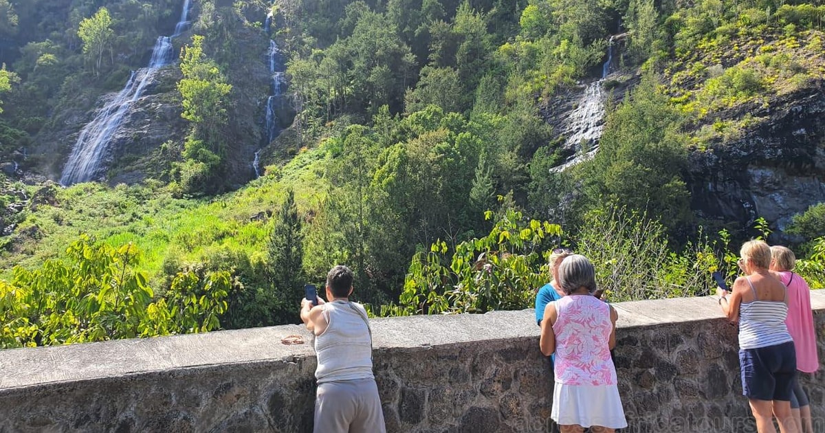 Reunion Island: Guided Tour of the Wild South | GetYourGuide