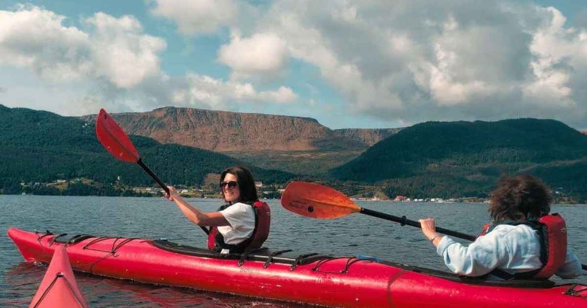 Gros Morne: Bonne Bay-Kajaktour am Morgen mit Guide | GetYourGuide