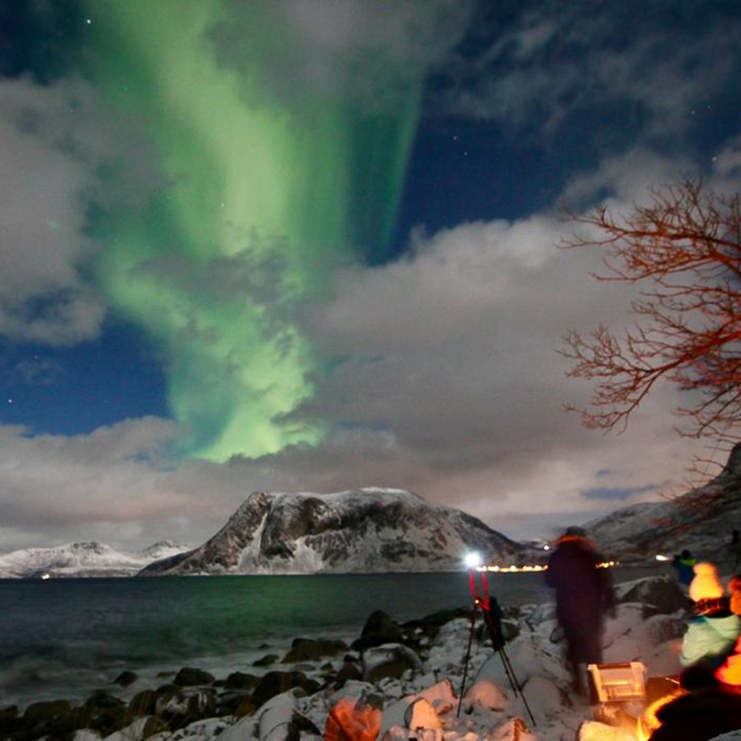 Tromsø: Northern Lights Chase with Local Guide | GetYourGuide