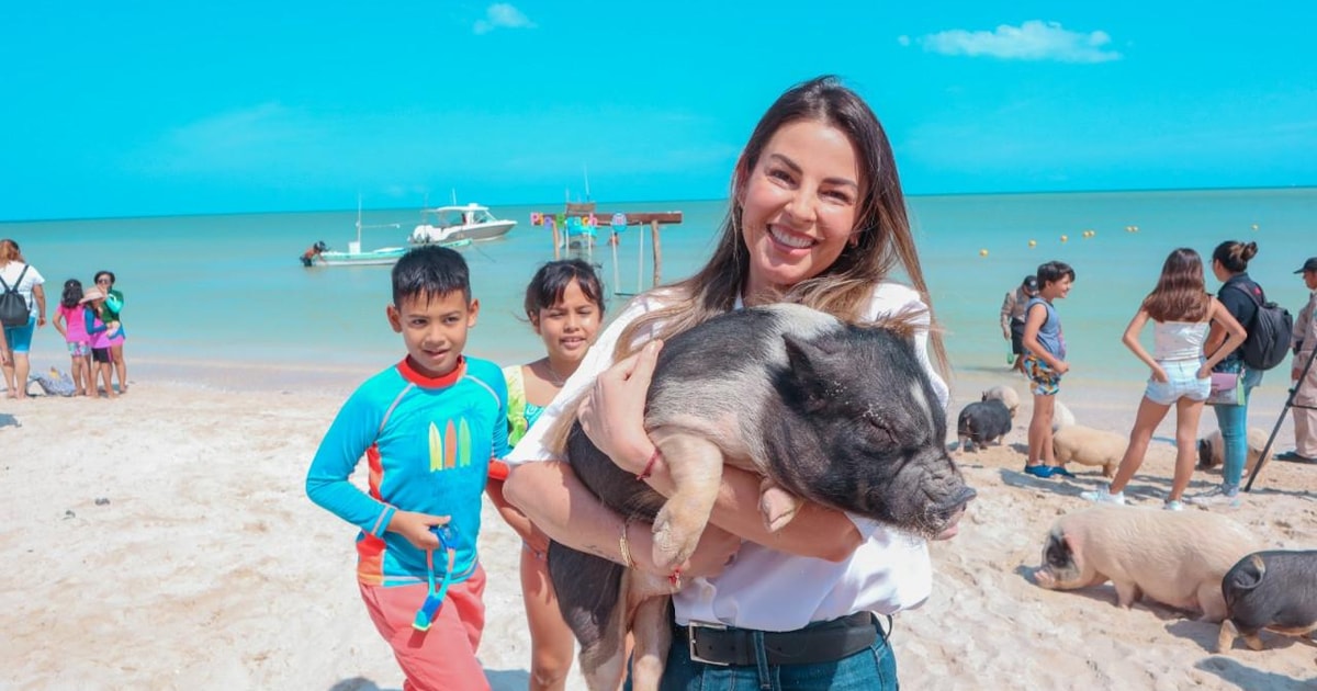 Explora Pig Beach, Corchito, Progreso e isla Columpio | GetYourGuide