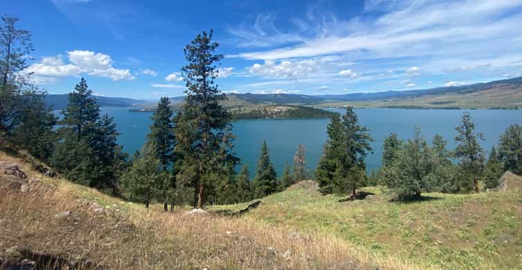 Wild Horse Island/Flathead Lake: Kayak Tour | GetYourGuide