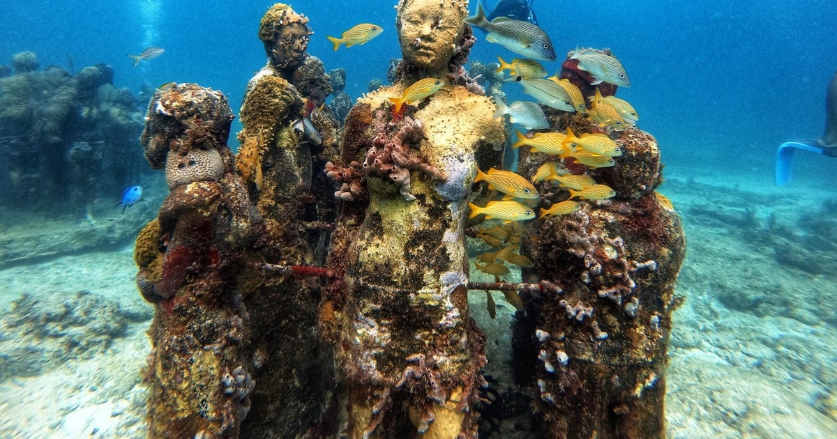 Cancun: Musa Underwater Museum & Reef Discover Scuba Diving | GetYourGuide