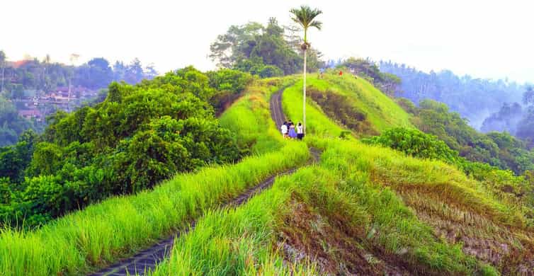 Campuhan Ridge Walk, Ubud - Book Tickets & Tours | GetYourGuide