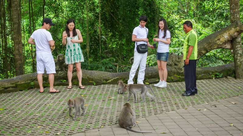 Ubud Tour : Explore the best places in Ubud Area. | GetYourGuide