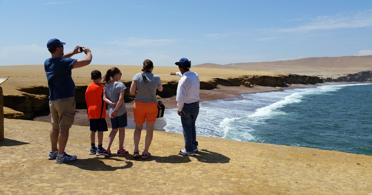 Paracas: Ballestas Island & Nature Reserve all inclusive | GetYourGuide