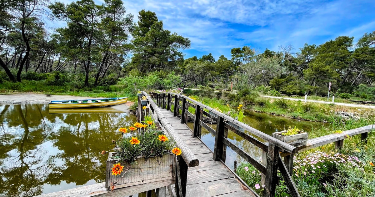 Durres & Karavasta National Park Tour on Luxury Land Rover | GetYourGuide