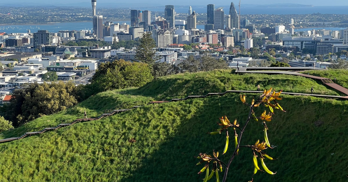 Auckland CITY HIGHLIGHTS Tour med hämtning på hotellet | GetYourGuide