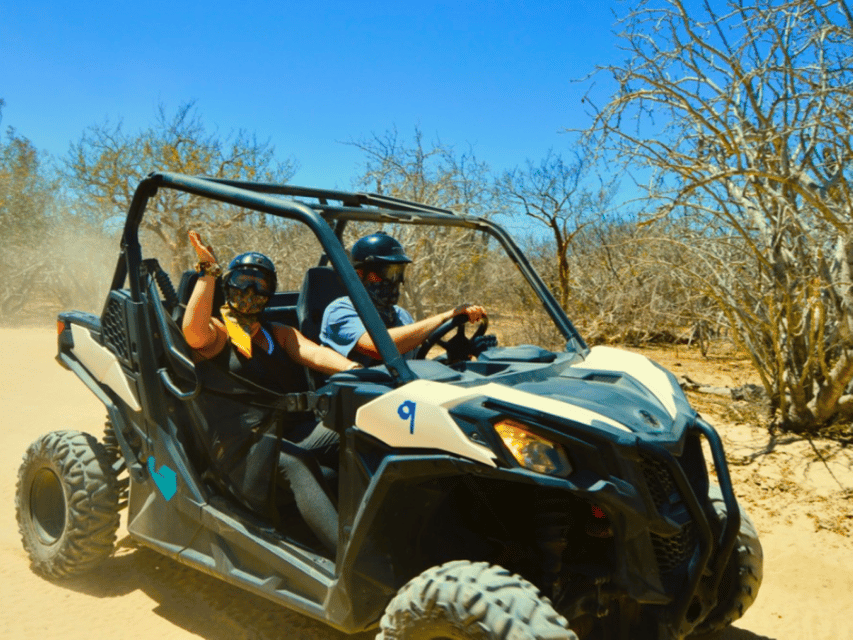 Cabo San Lucas: Migriño Beach & Desert UTV Adventure | GetYourGuide