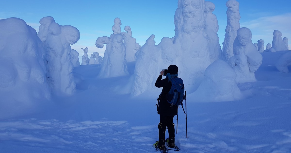Snesko-oplevelse i Riisitunturi Nationalpark | GetYourGuide