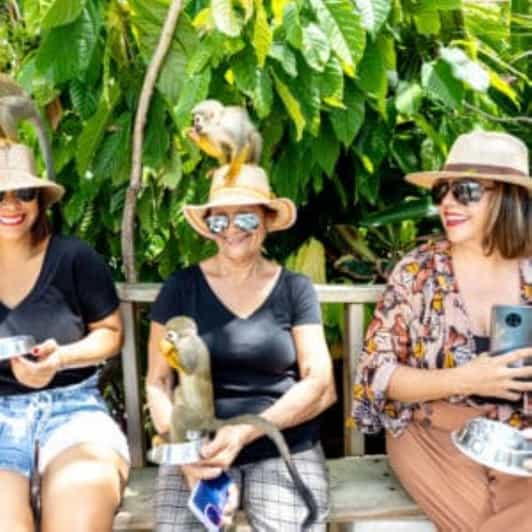 Punta Cana: Monkeyland Half-Day Tour with Snacks and Guide | GetYourGuide