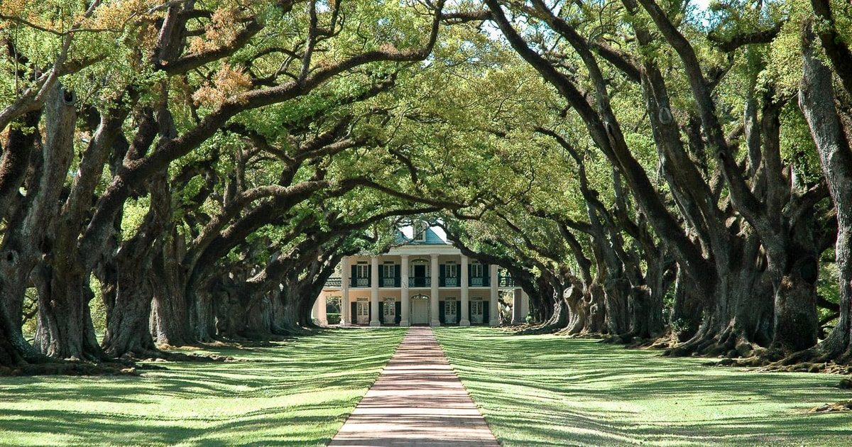 New Orleans: Single Plantation and Pontoon Swamp Day Trip | GetYourGuide